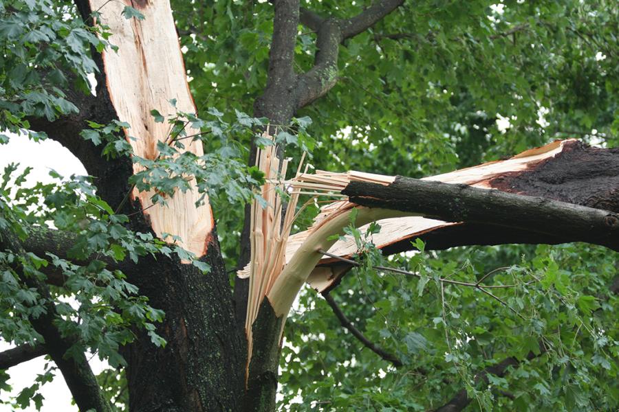 About the Park | Outwood Country Park